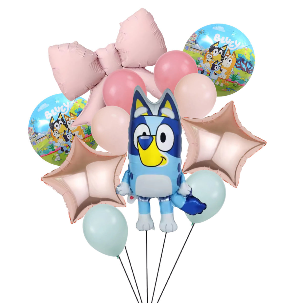 12pc Girl Bluey Balloon Bouquet Set – Party Mania USA